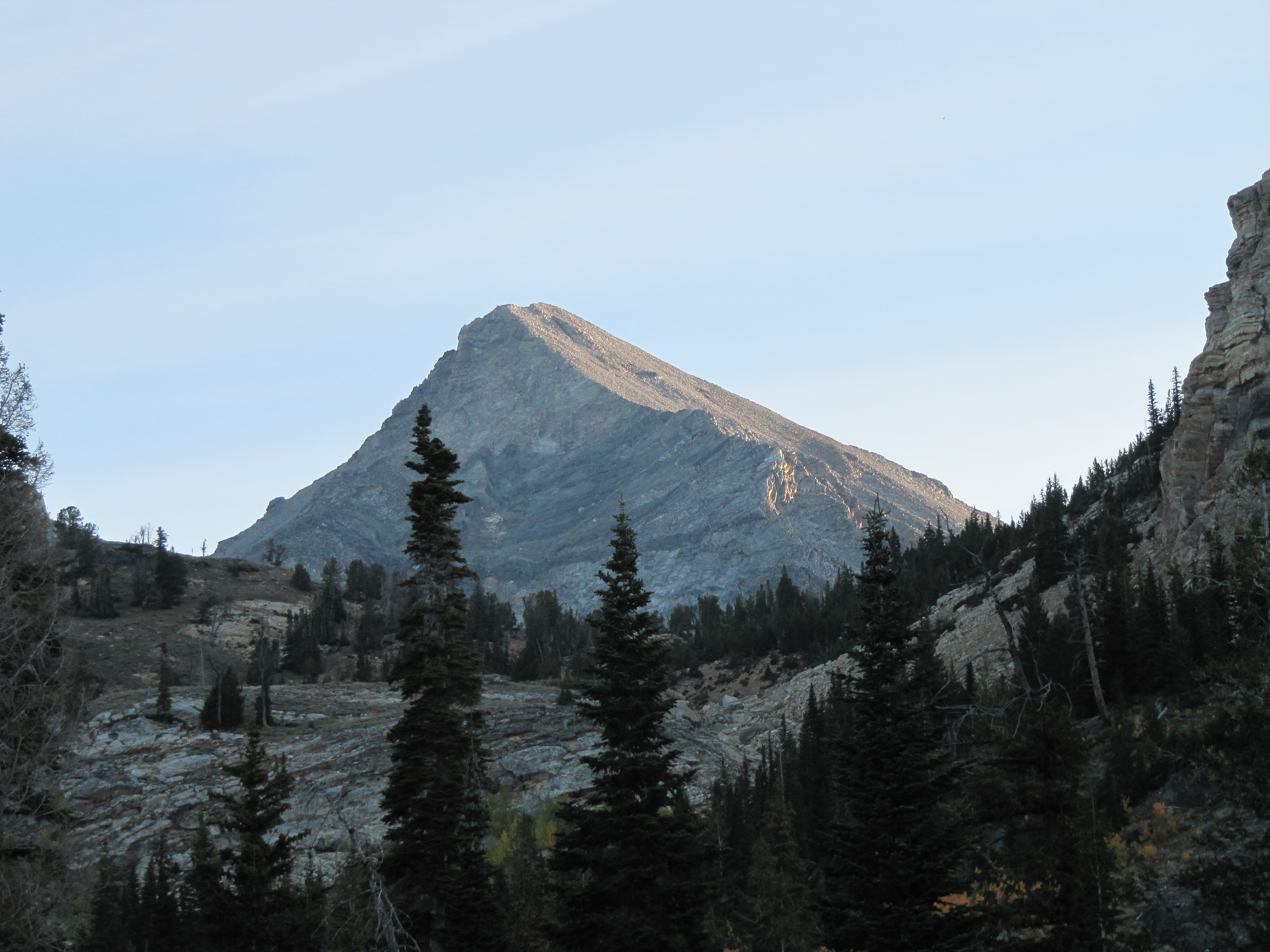 Hyndman – The Occidental Observer